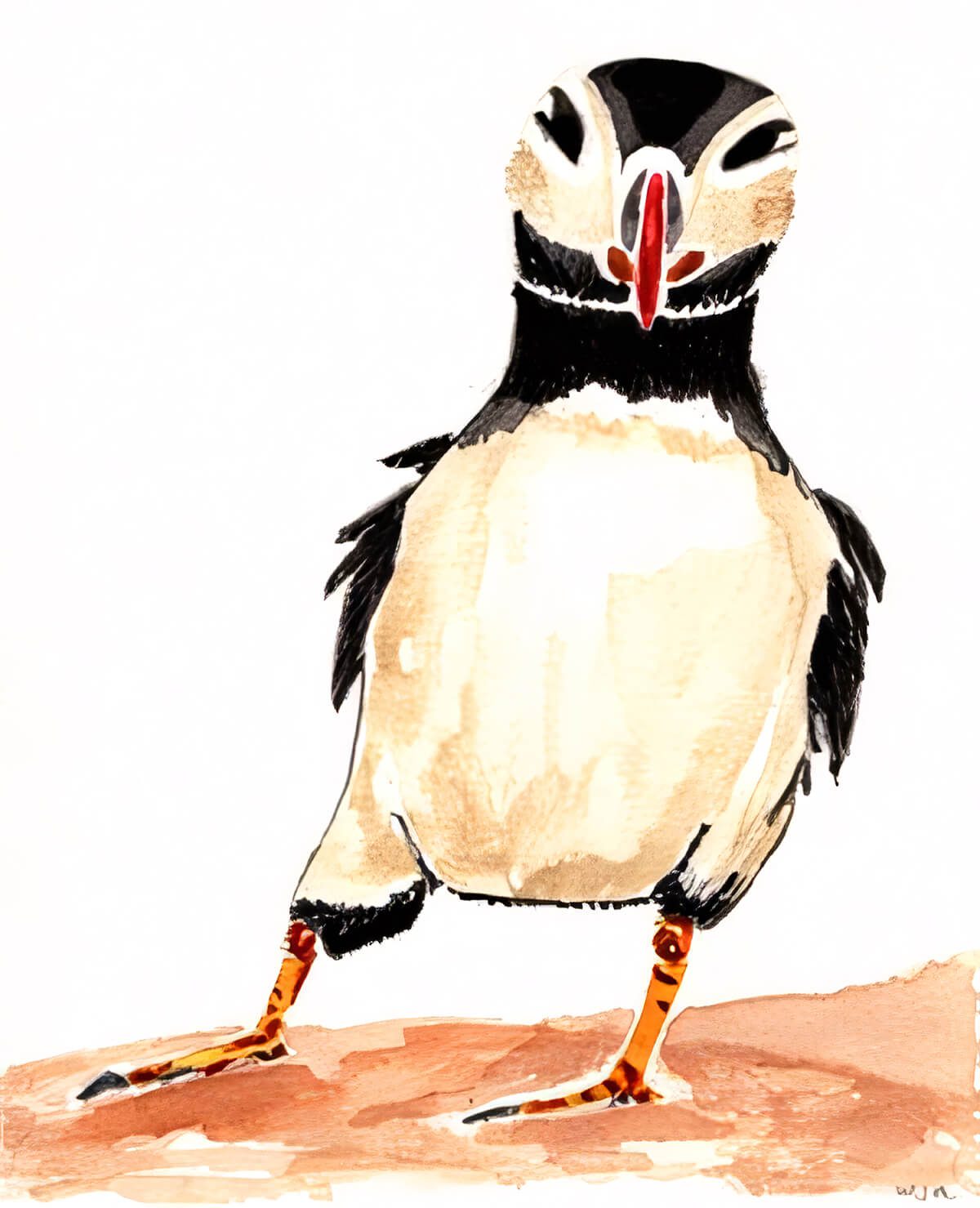 Pedro the Penguin - Tiny Art Stories