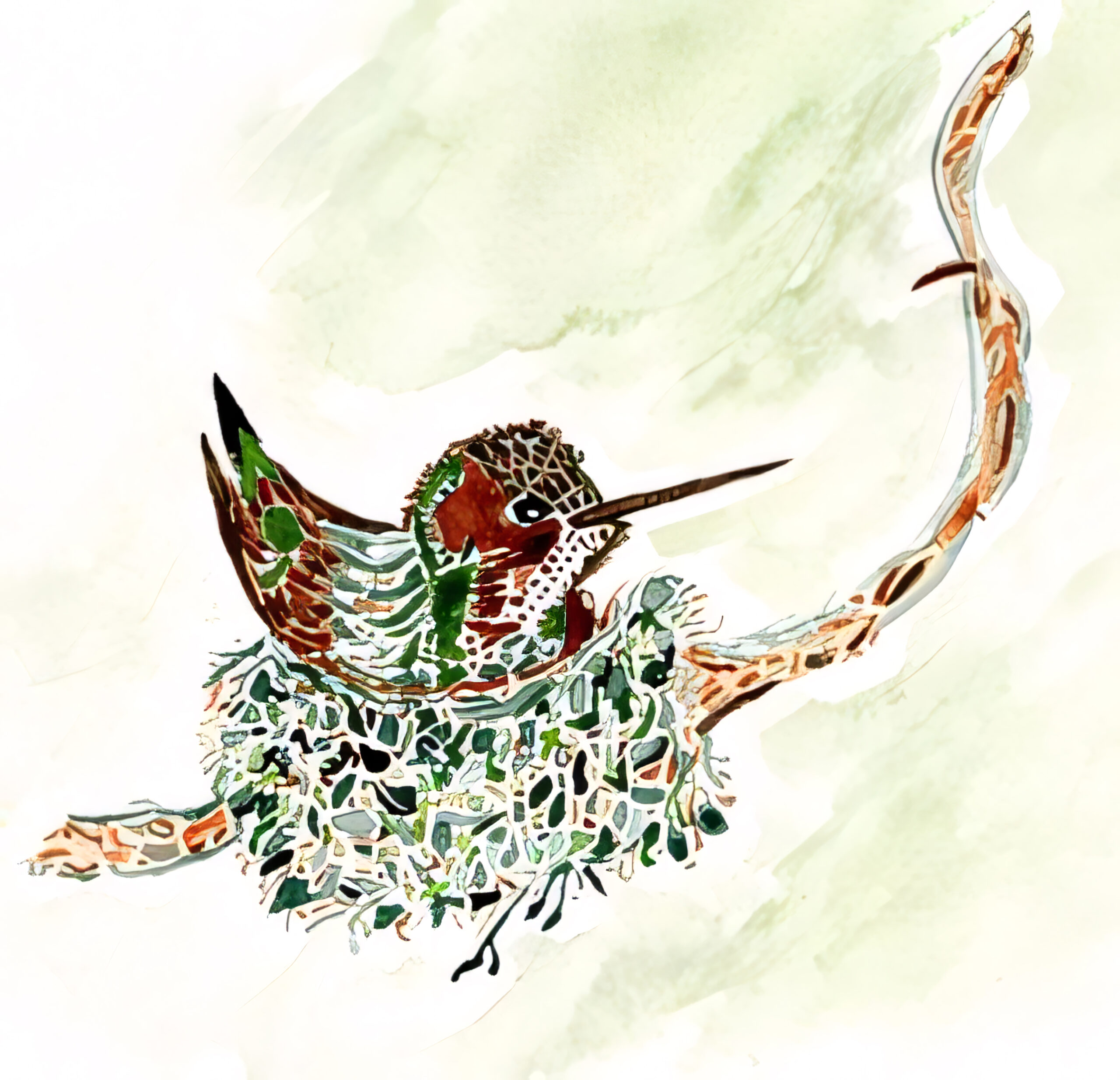 Nesting Baby Wren - Tiny Art Stories